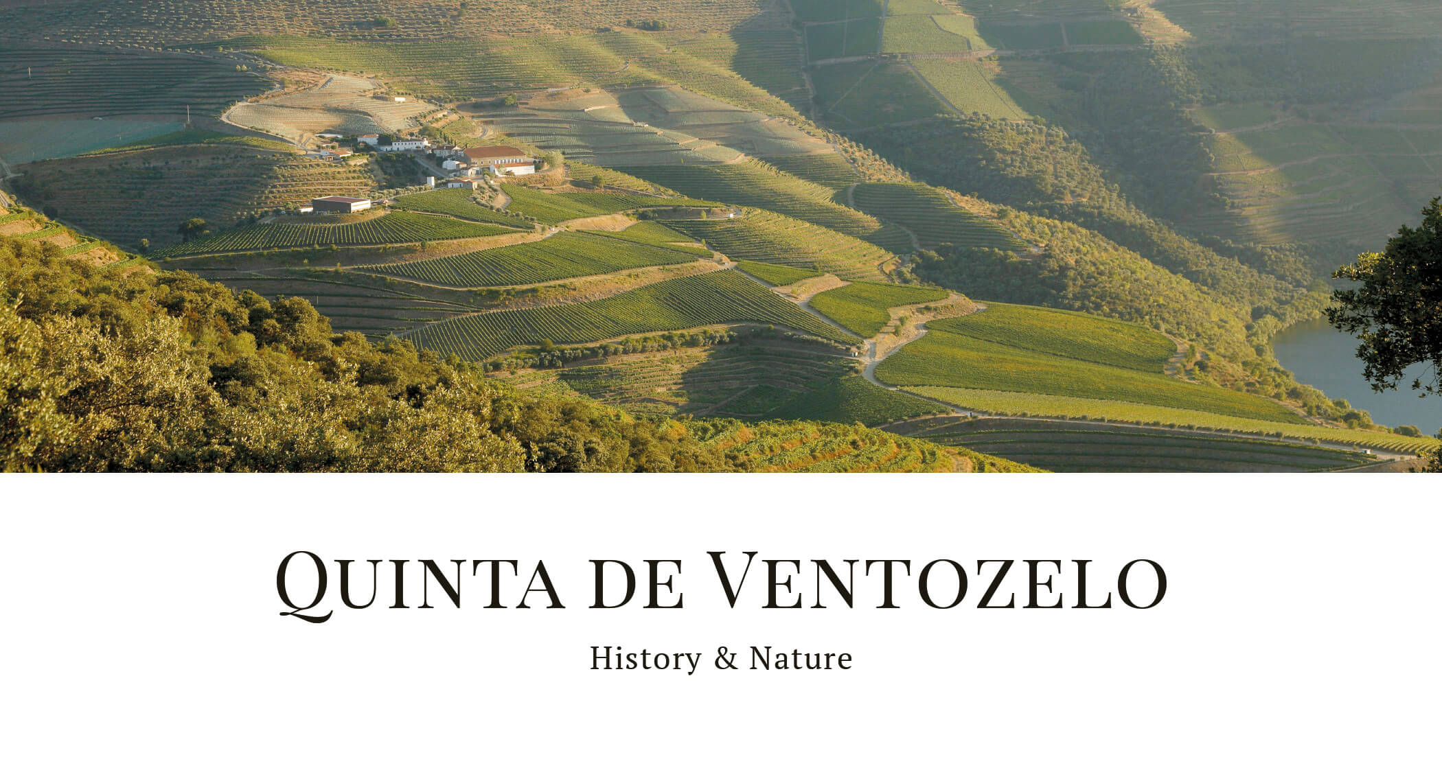 Estate - Quinta de Ventozelo, Douro.