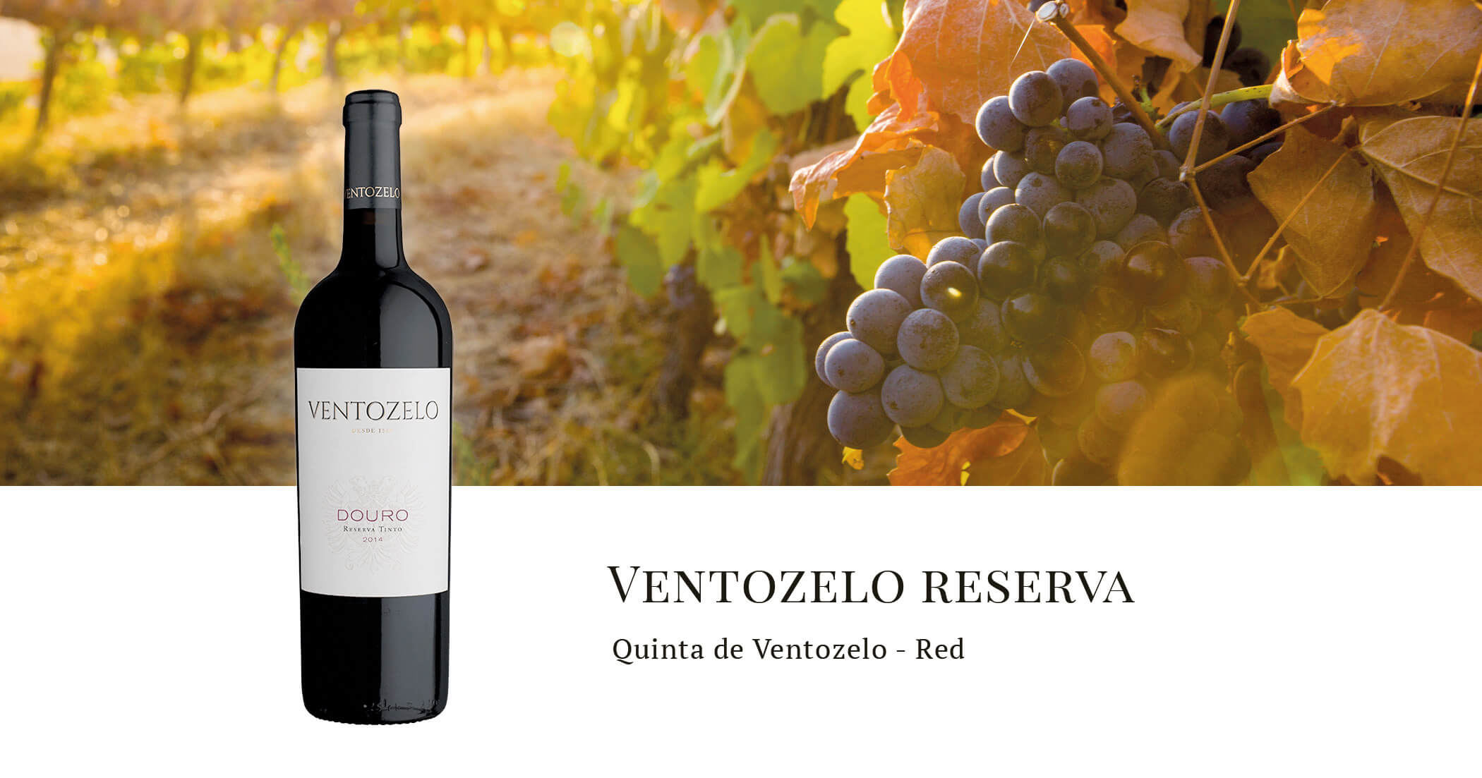 Ventozelo Reserva Red - Quinta de Ventozelo, Douro.