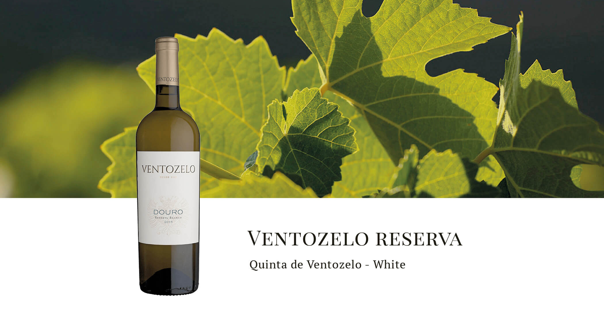 Ventozelo Reserva White - Quinta de Ventozelo, Douro.